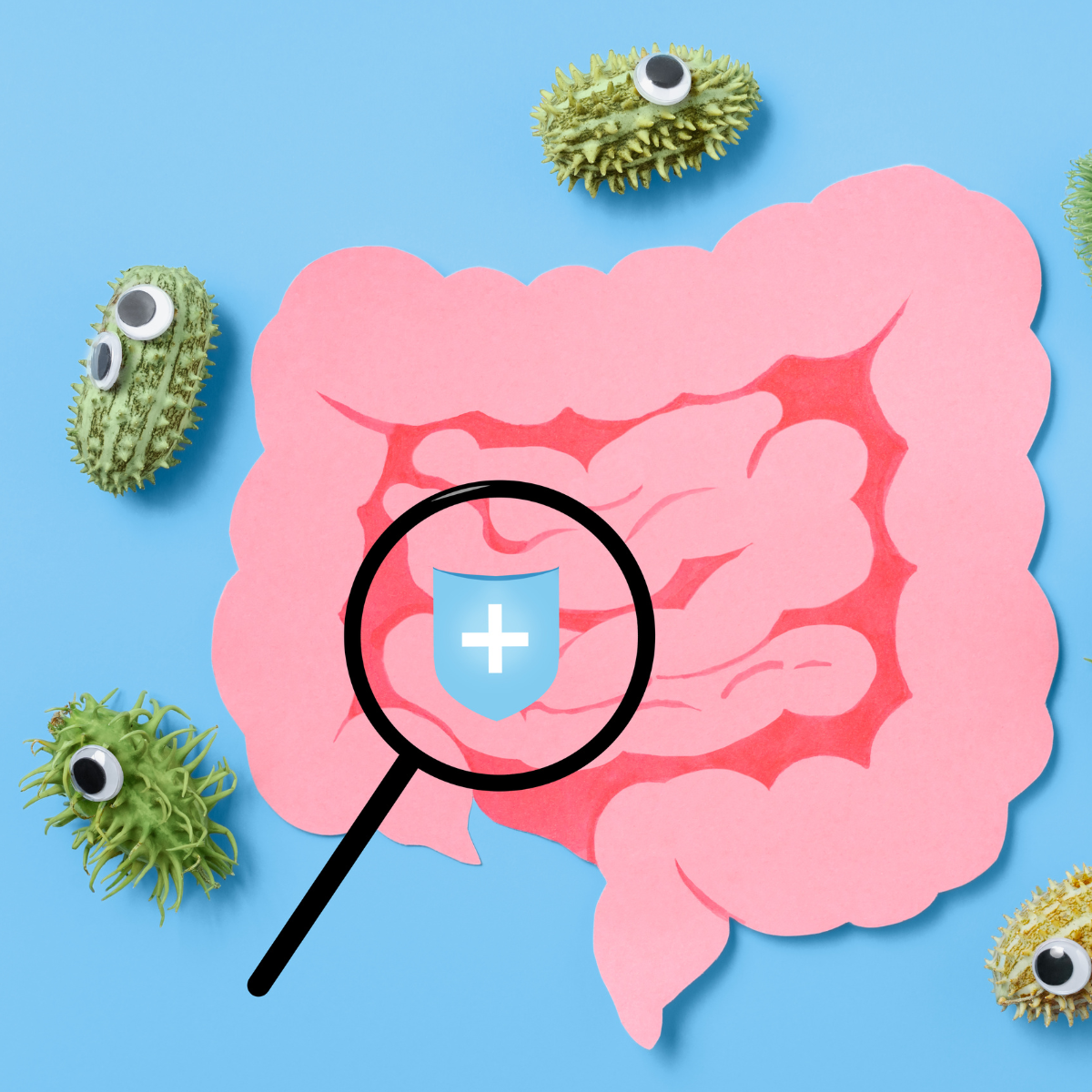 Everything to Know About Leaky Gut: Testing, Symptoms, and Personalize